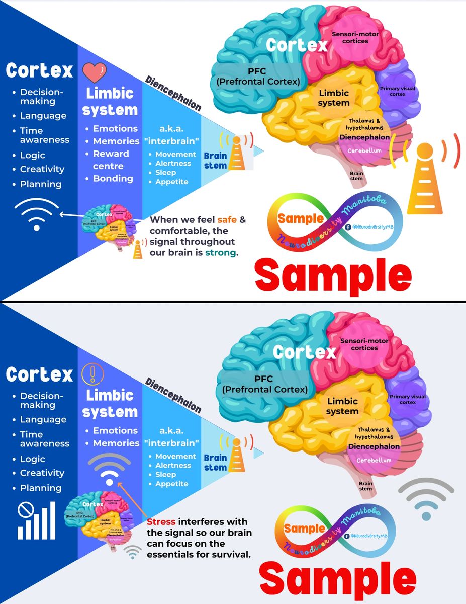 Triangle Brain Model and Mount Regulation Handouts